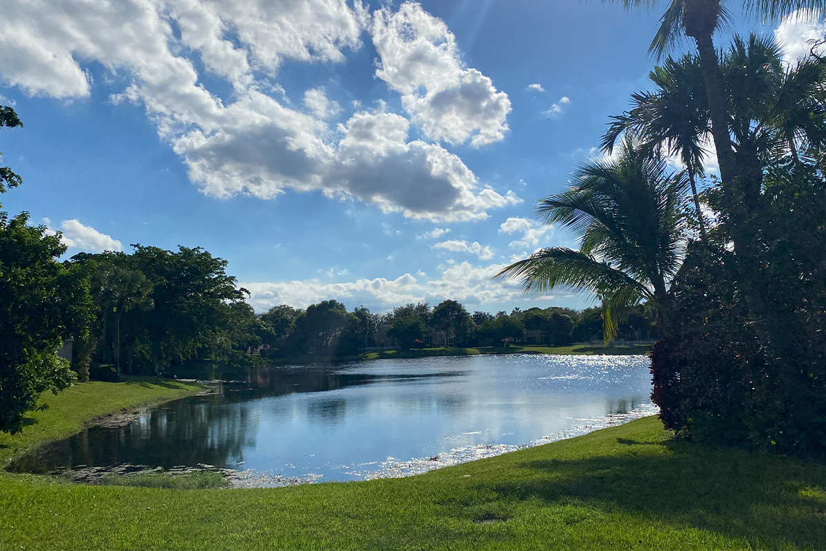 Encino Estates @ Grand Palms > Home